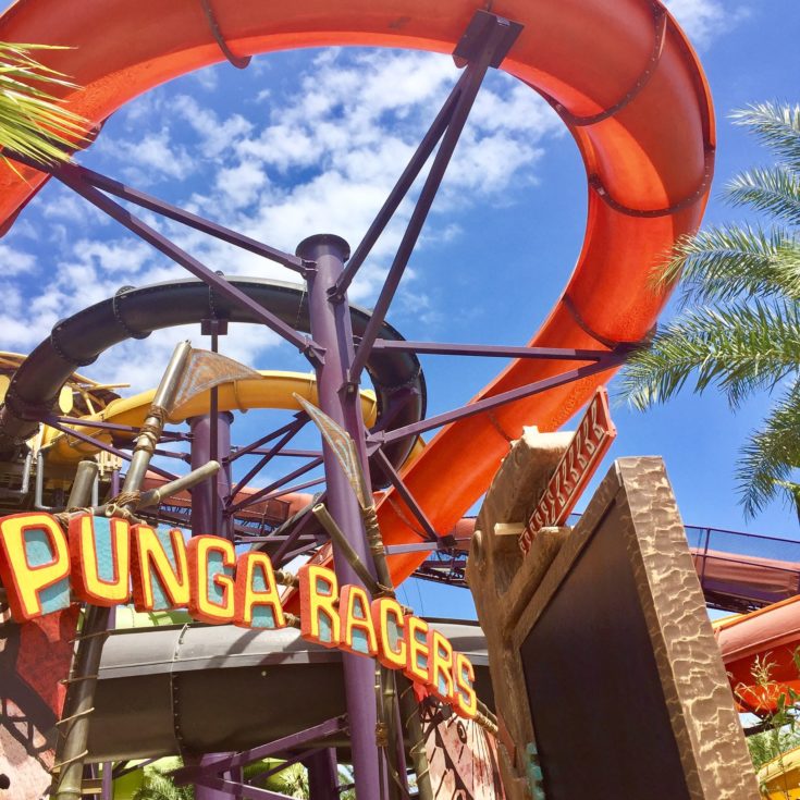 Volcano Bay Height Restrictions for all Slides and Attractions ...