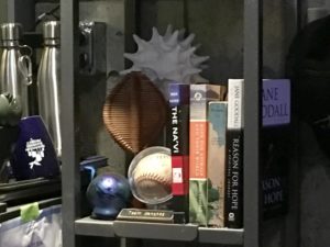 10 Hidden Details in Pandora – The World of Avatar – Orlando ParkStop