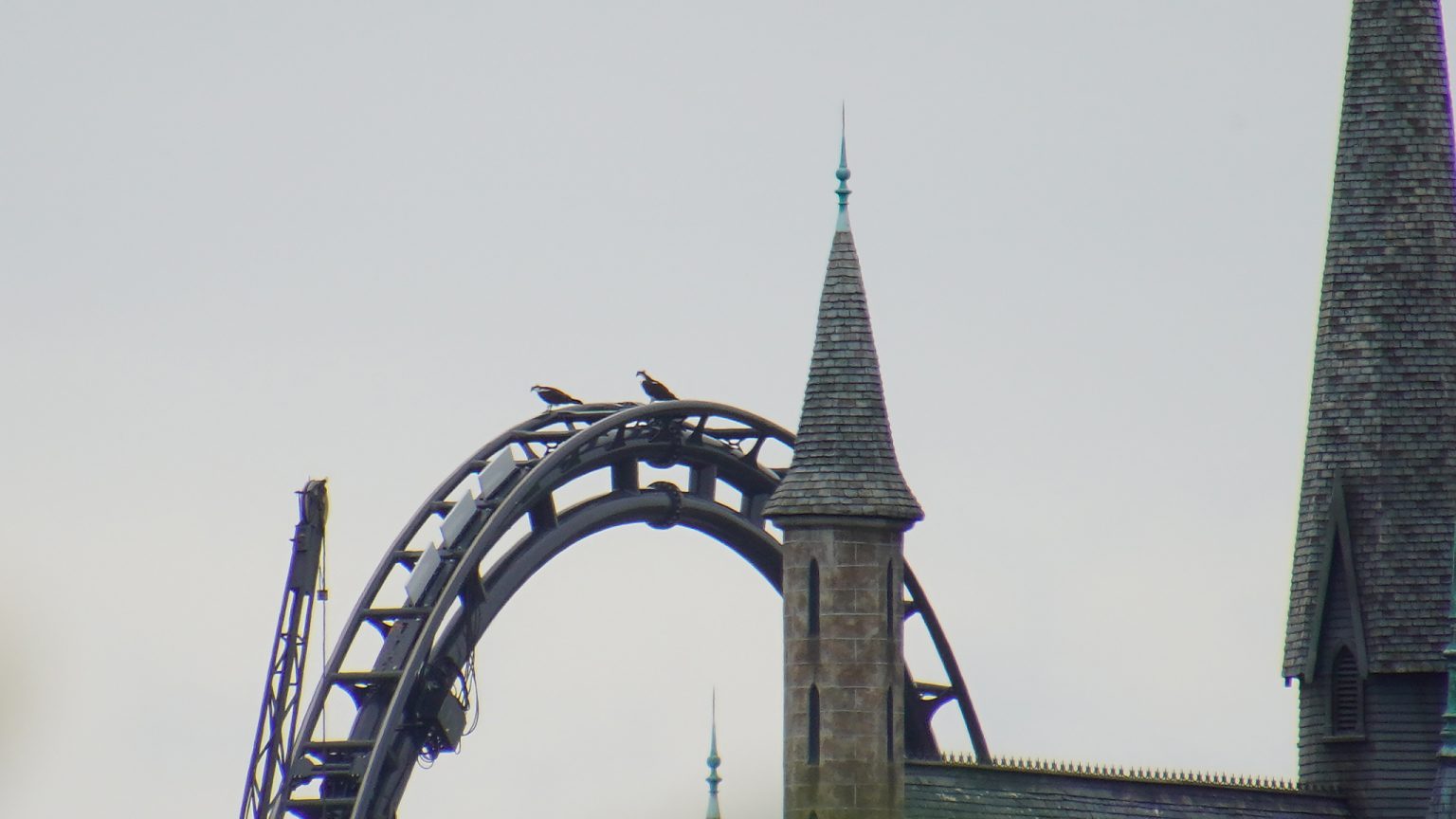 VelociCoaster Construction Update – Full Trains on Track, Raptor Eggs ...